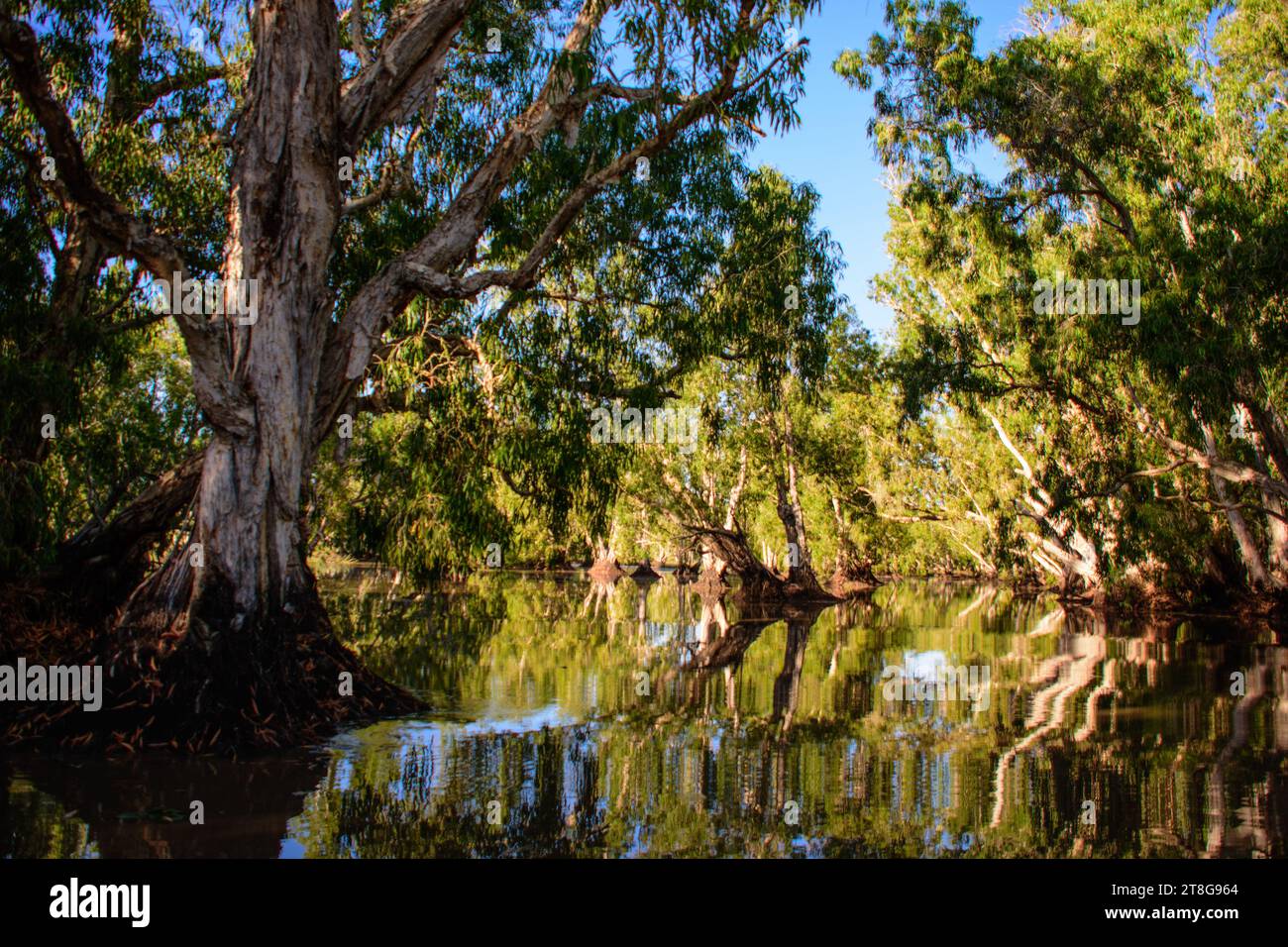 stunning views of the Mary river landscape in the Northern Territories ...