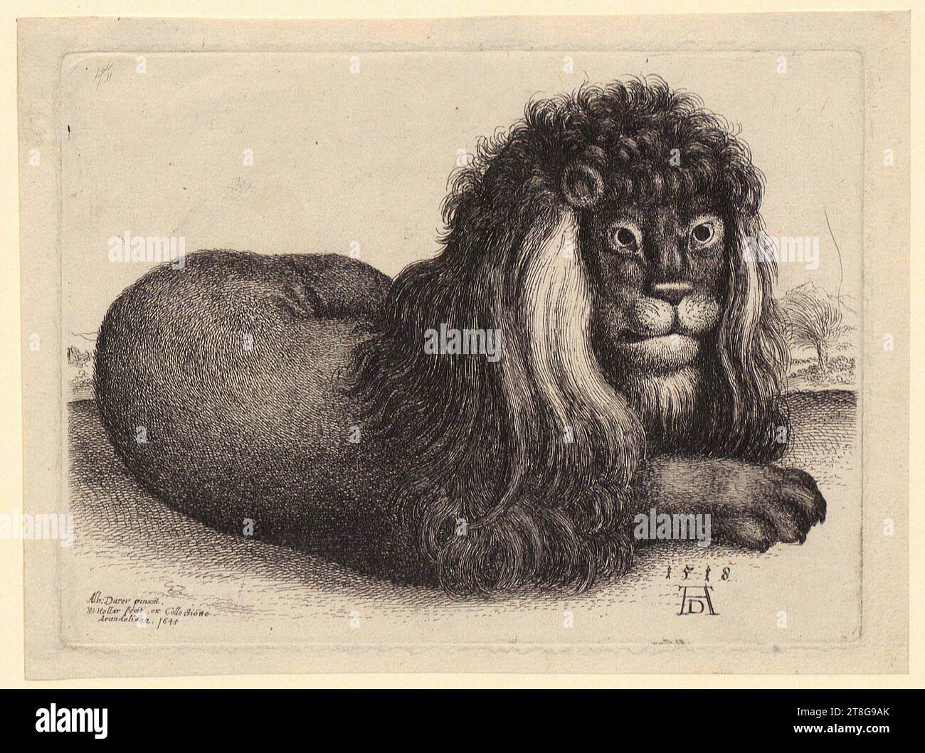 Execution albrecht durer hi-res stock photography and images - Alamy