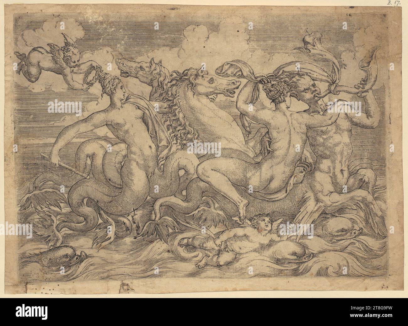 Lo falco hi-res stock photography and images - Alamy