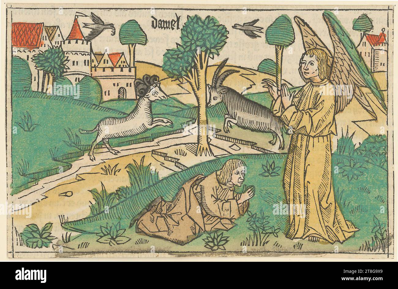 Colored german goat hi-res stock photography and images - Alamy