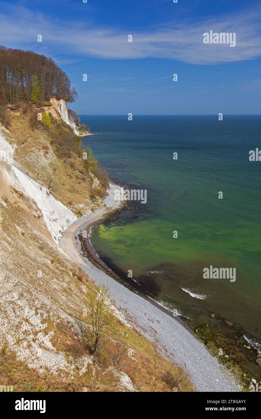 Eroded white chalk cliffs and pebble beach in Jasmund National Park on ...
