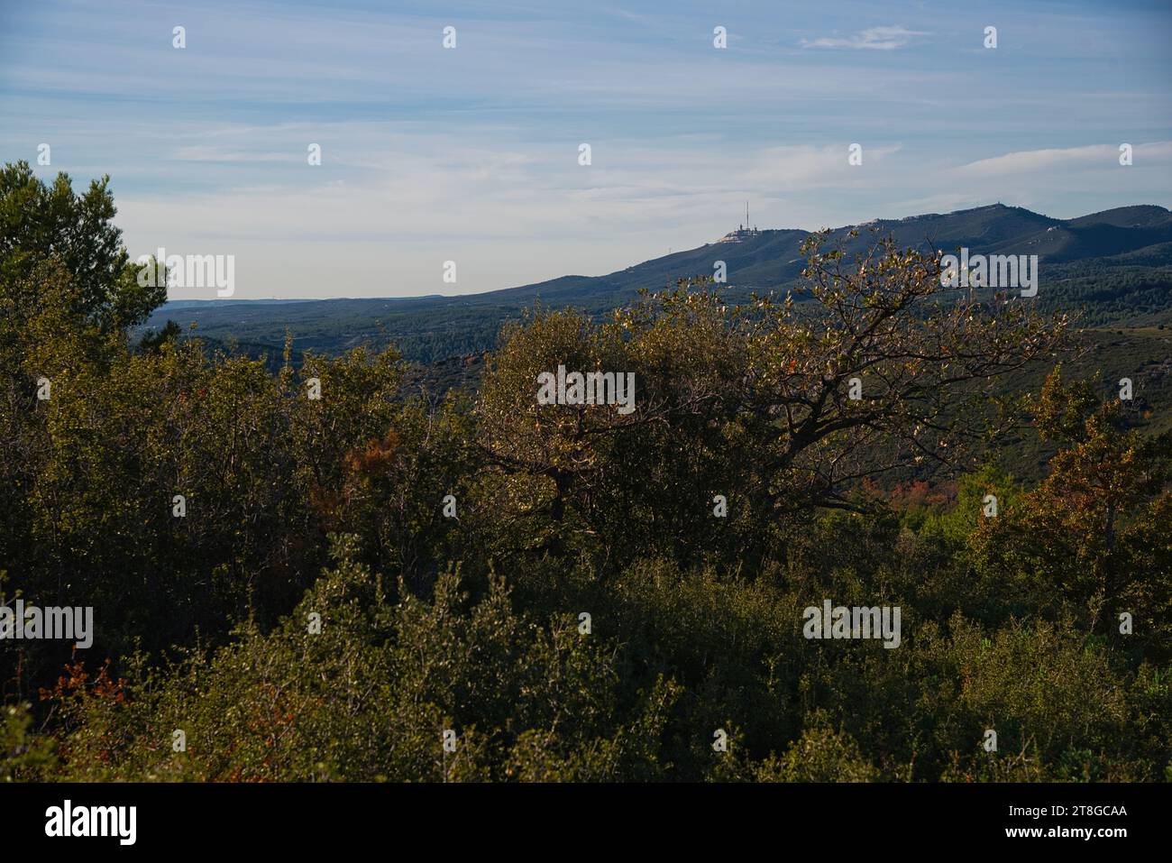 les collines et la garrigues de la Provence de Pagnol une fin de ...