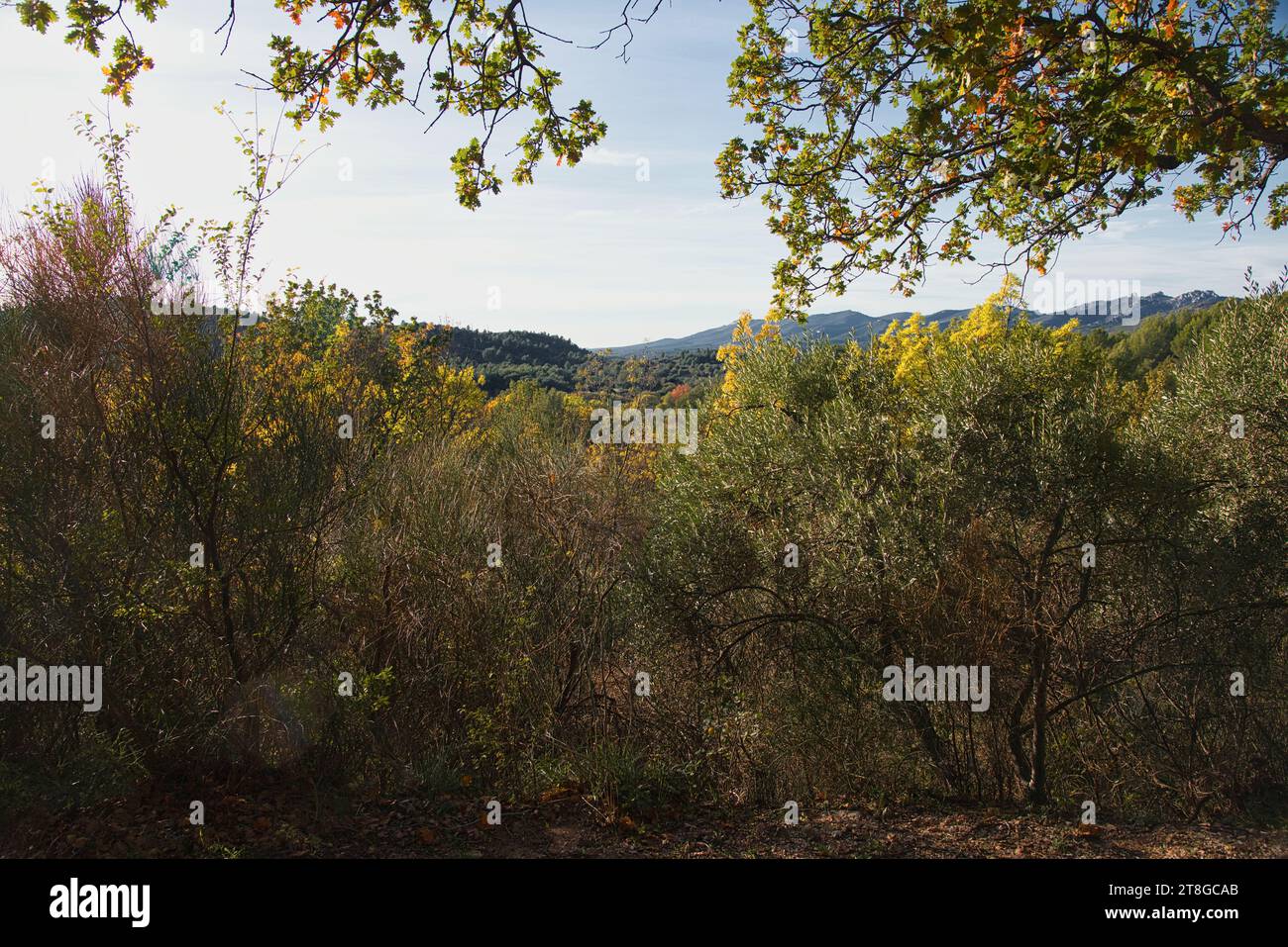 les collines et la garrigues de la Provence de Pagnol une fin de ...