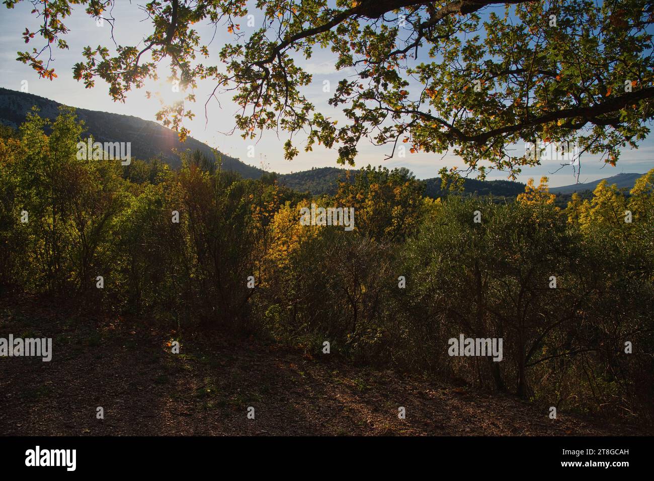 les collines et la garrigues de la Provence de Pagnol une fin de ...