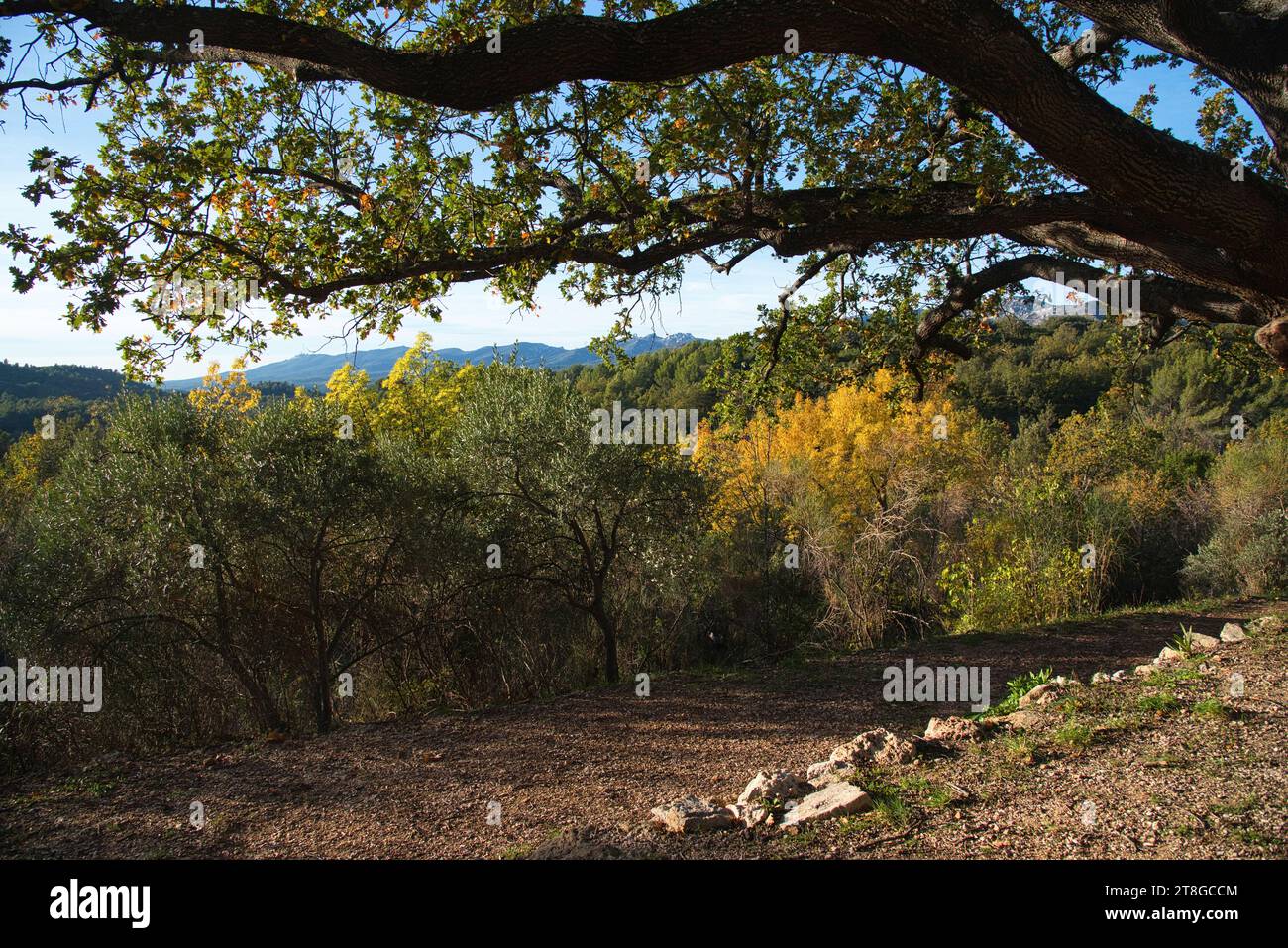 les collines et la garrigues de la Provence de Pagnol une fin de ...