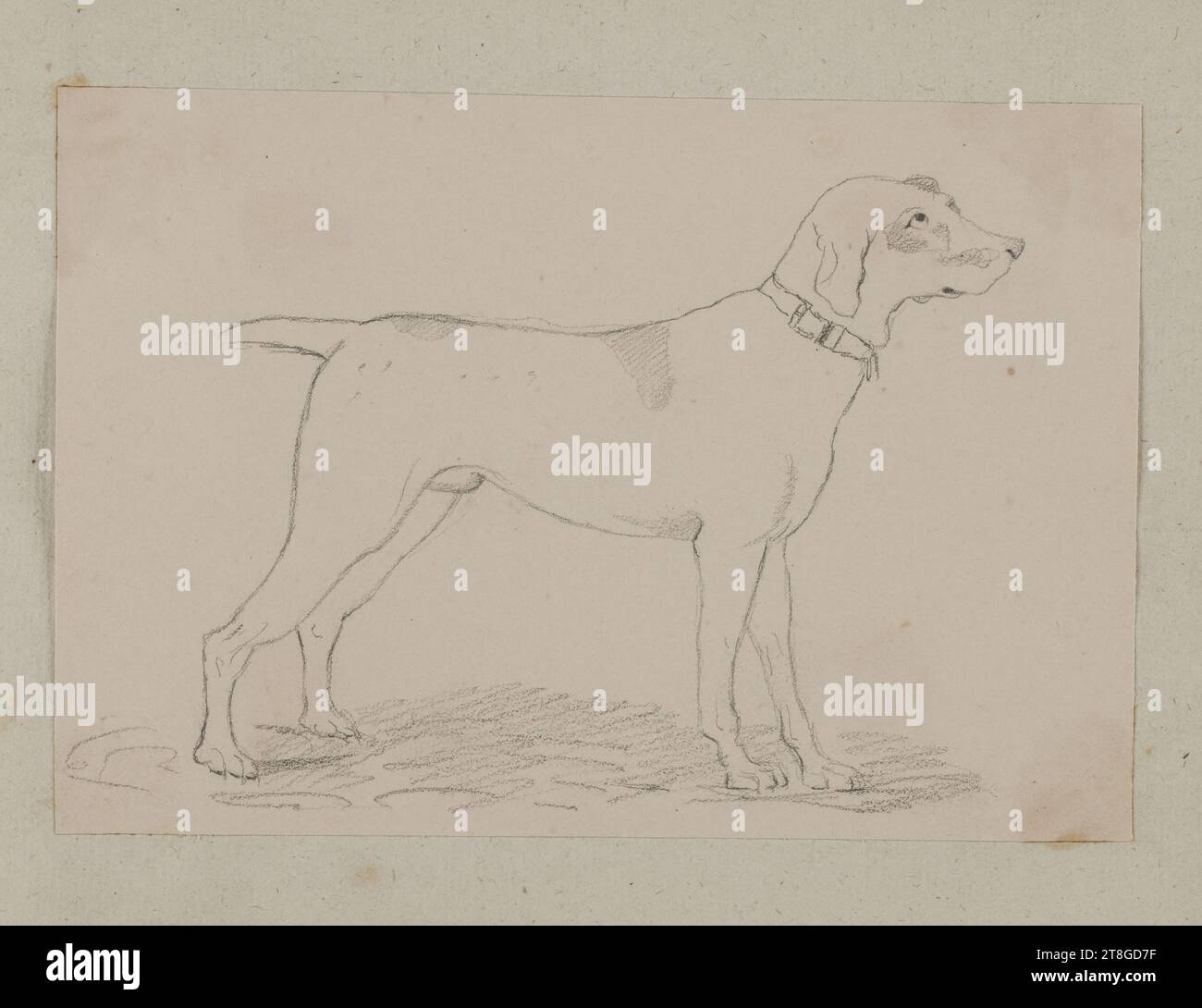 Collection of 12 drawings, Draughtsman, 19th century, Graphic arts ...