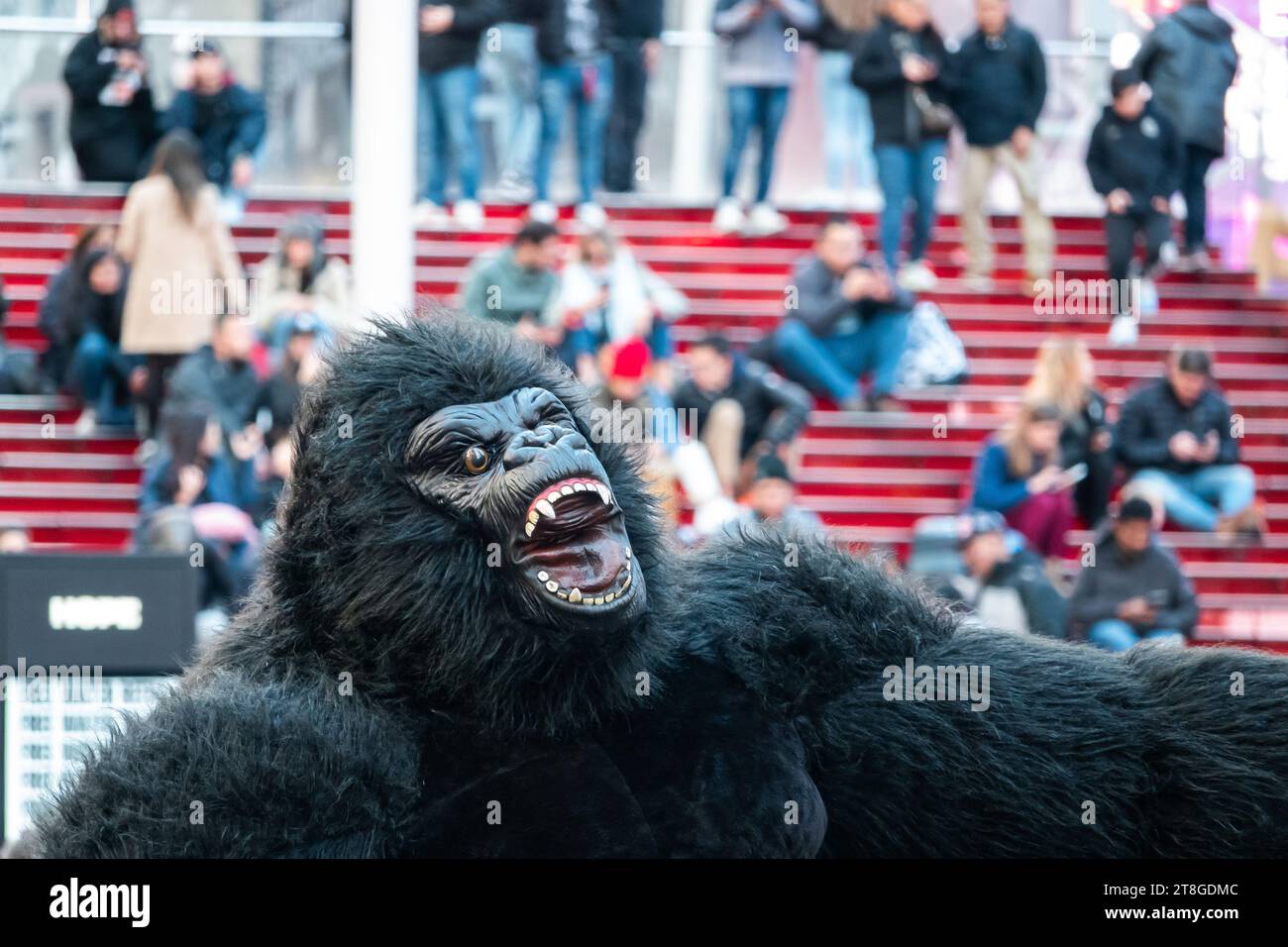 Time Square gorilla in New York Stock Photo - Alamy