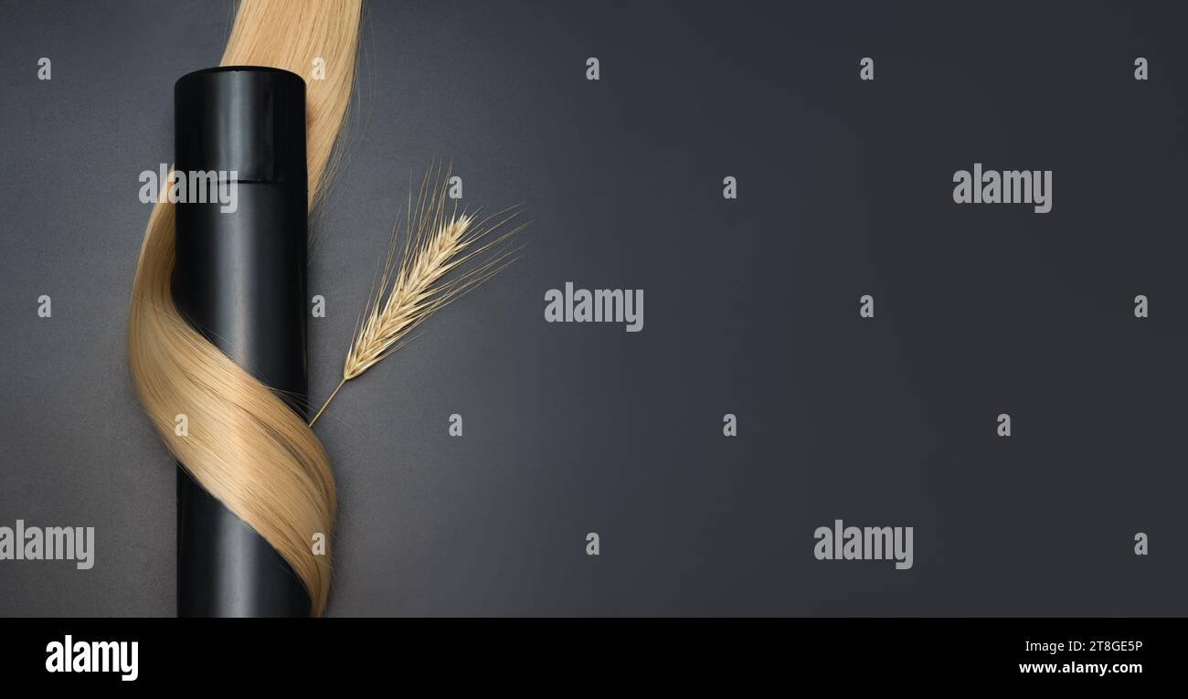 Blond long hair with Hairspray and sprigs of ripe wheat. Healthy hair ...