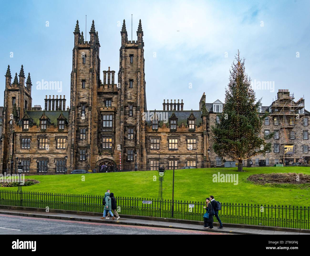 Norwegian christmas tree hi-res stock photography and images - Alamy
