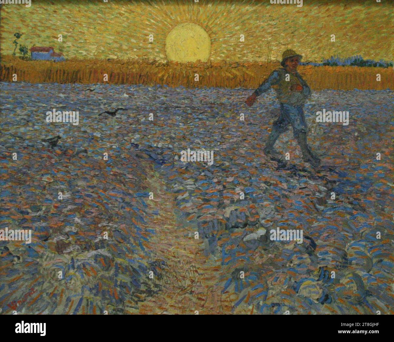 The Sower - painting by Van Gogh Stock Photo - Alamy