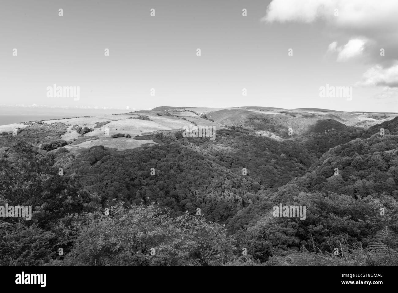 Landscape photo of Countisbury Hill and Watersmeet Valley in Exmmor ...