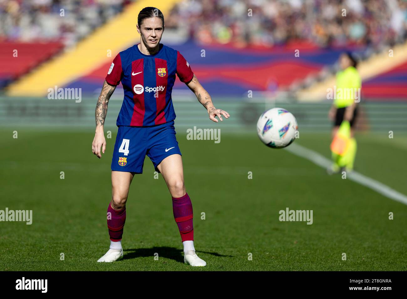 Mapi leon hi-res stock photography and images - Alamy