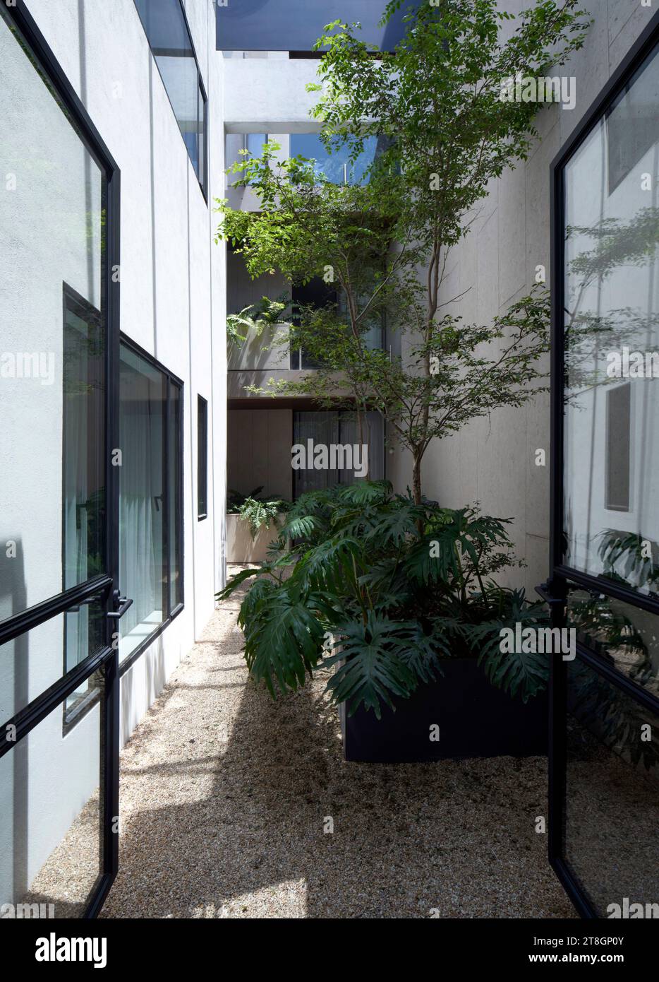 Exterior courtyard and lightwell. Hotel Casa Polanco, Mexico City ...
