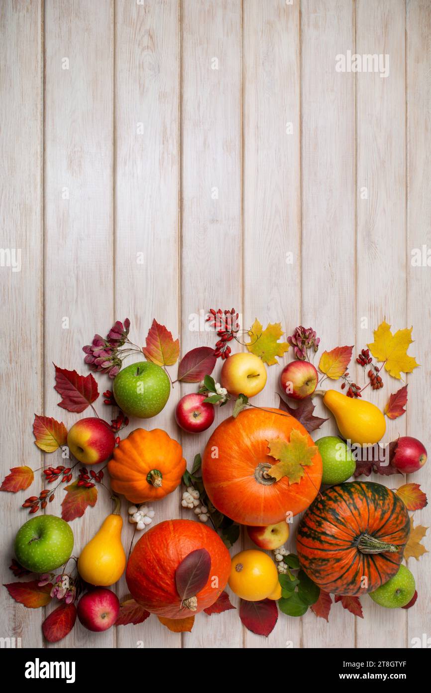 Gourd centerpiece hi-res stock photography and images - Alamy