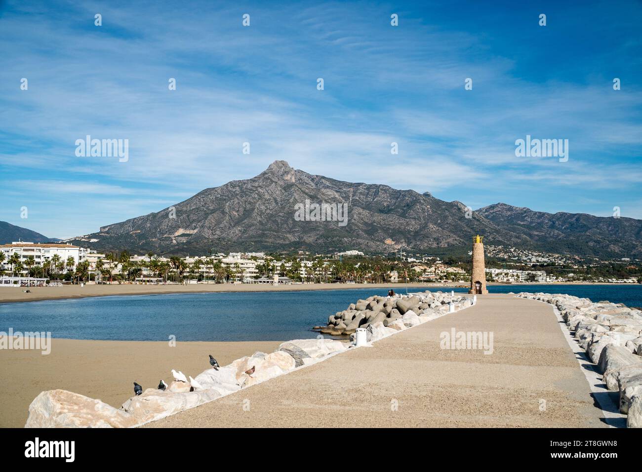 the beaches and mountains surrounding the luxurious port town of Puerto ...