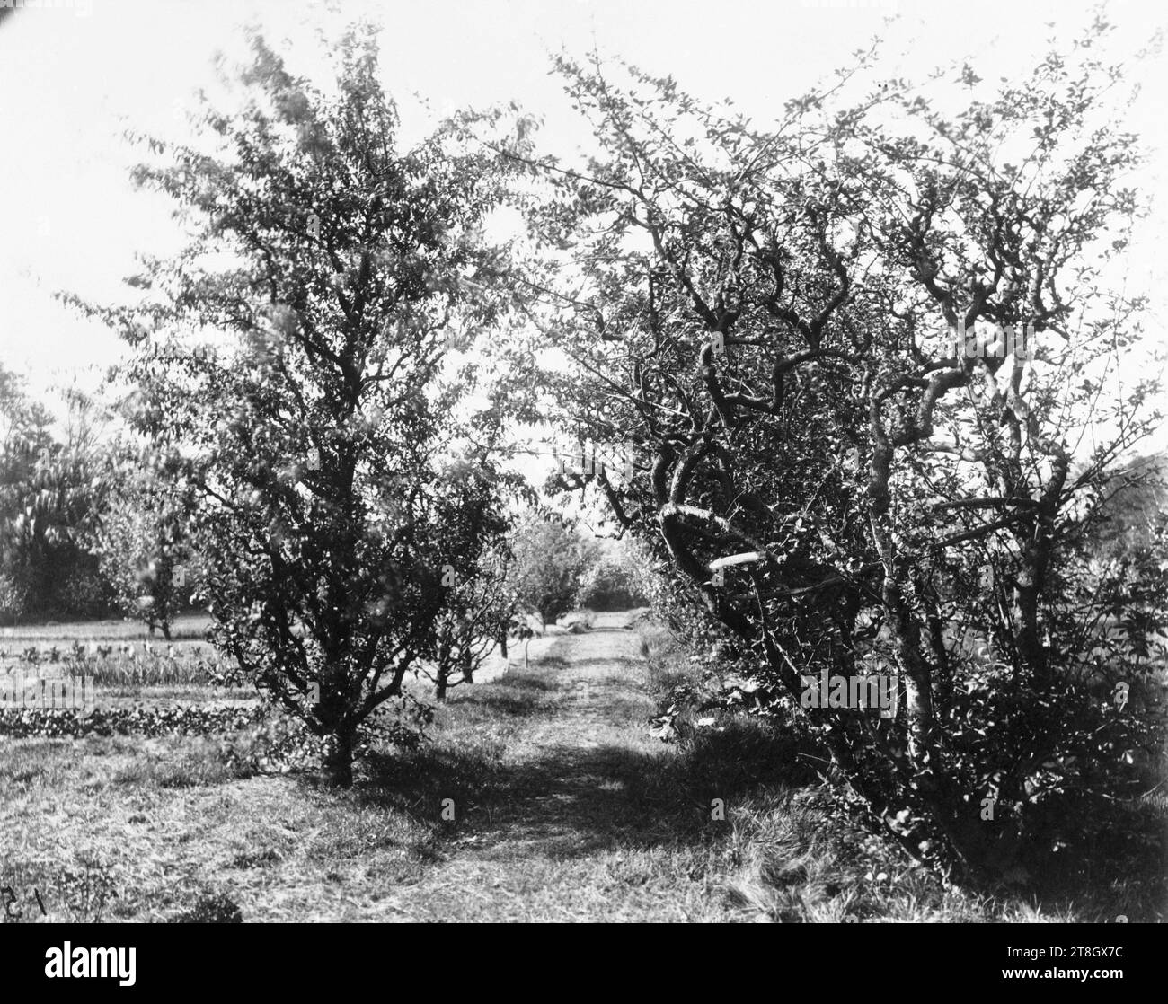 Jean eugene auguste atget Black and White Stock Photos & Images - Alamy