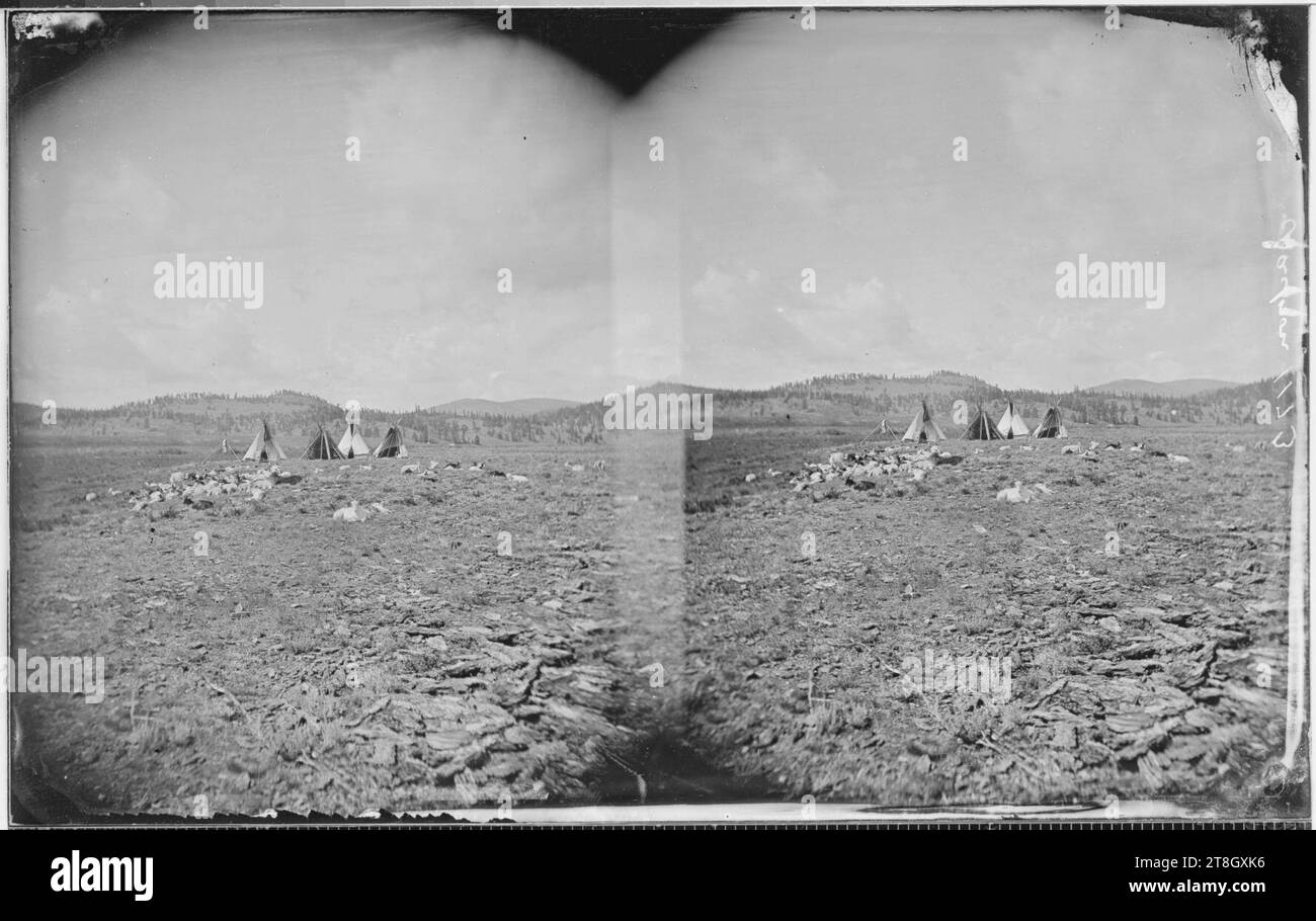 Los pinos agency hi-res stock photography and images - Alamy