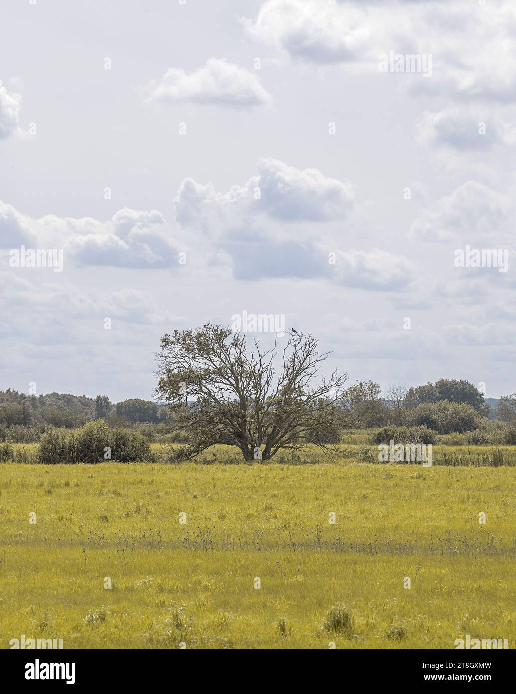 Calm and countryside hi-res stock photography and images - Alamy