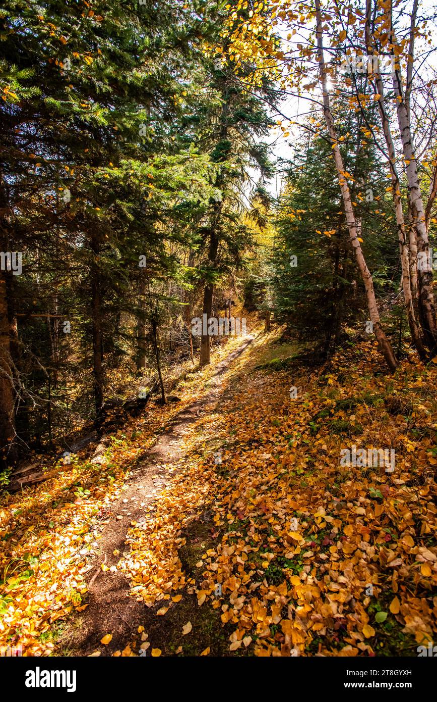 Autumn in Prince Albert National Park, Saskatchewan, Canada Stock Photo ...