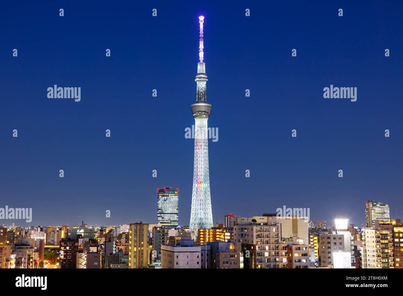 Tokyo SkyTree Turm mit der Skyline Hochhäuser bei Nacht in Tokio, Japan ...