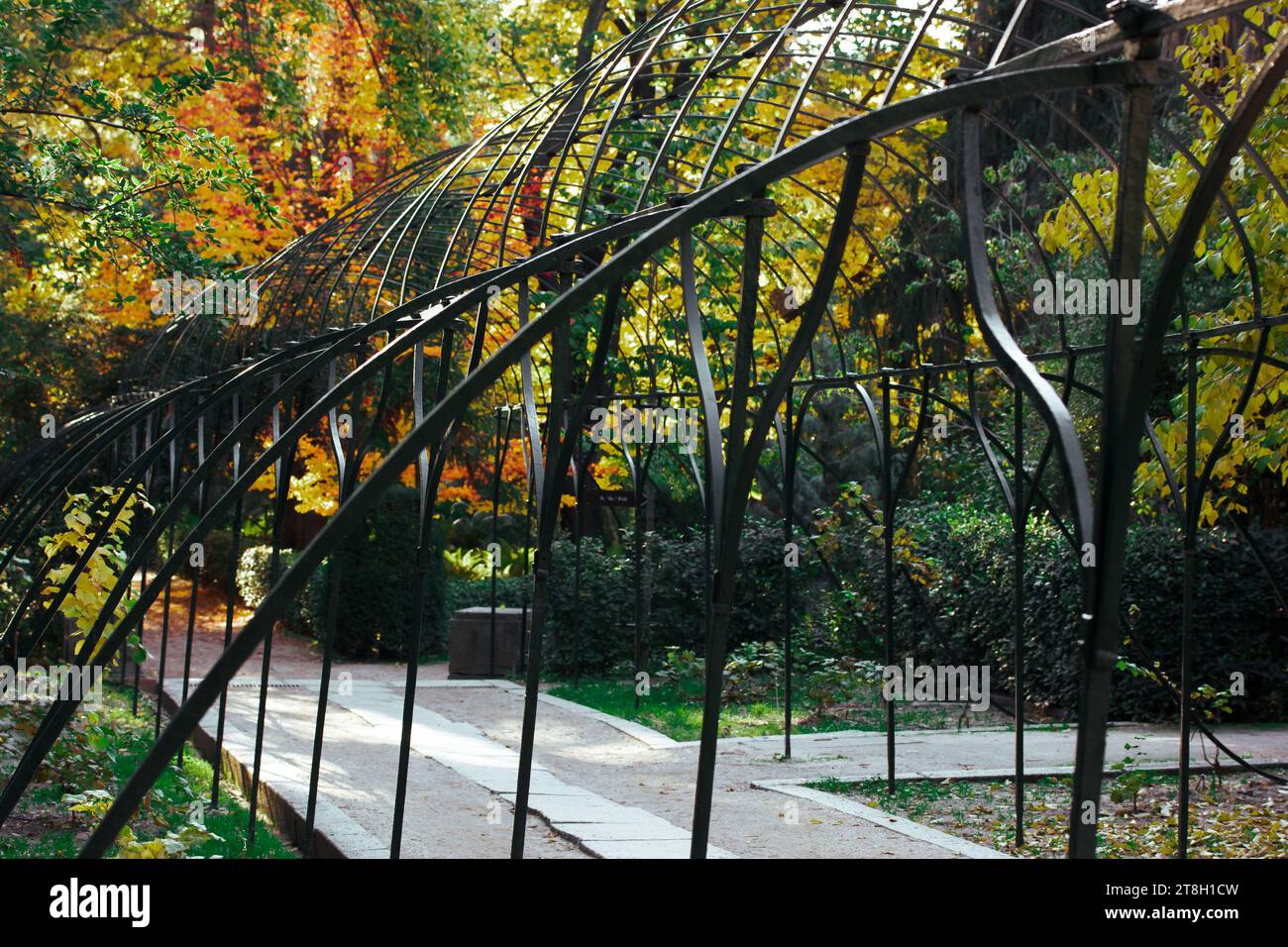 Arch in a garden, tunnel, path, walkway in a park. Green and yellow ...