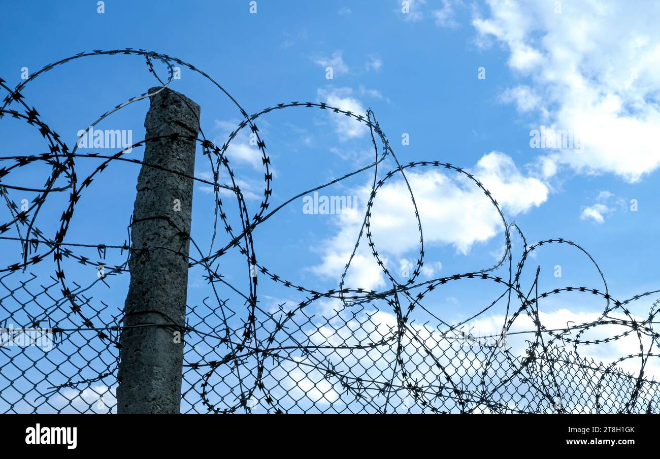 Barbed sharp wire on the background of the blue sky. Illegal ...