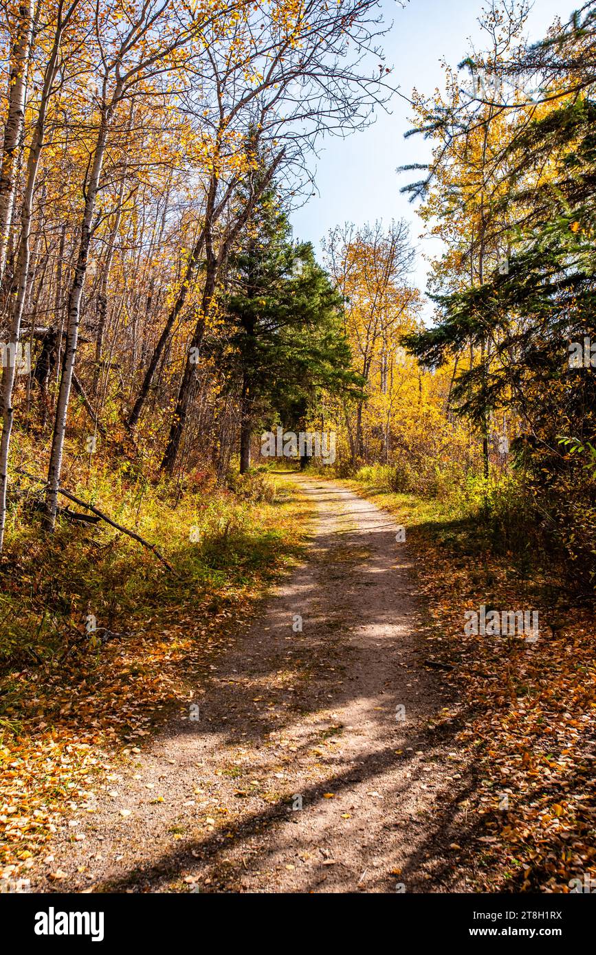 Prince albert national park hi-res stock photography and images - Alamy