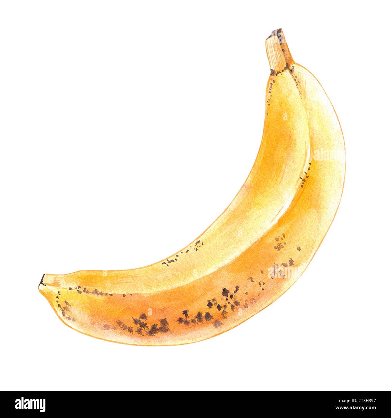 Banana fruit pattern Cut Out Stock Images & Pictures - Alamy