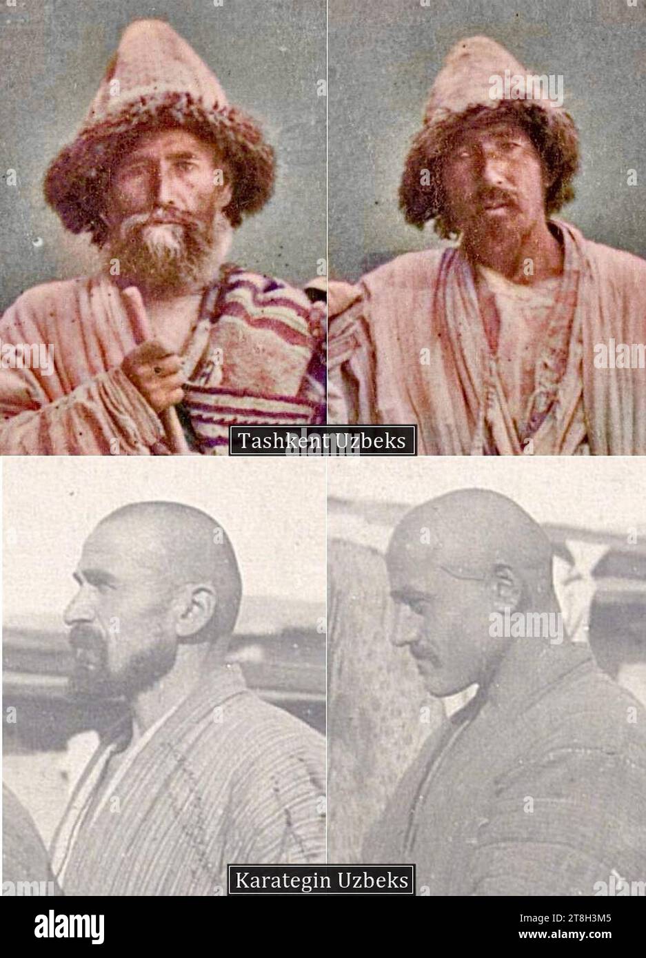 Uzbek phenotypes of Tashkent and Karategin Stock Photo - Alamy