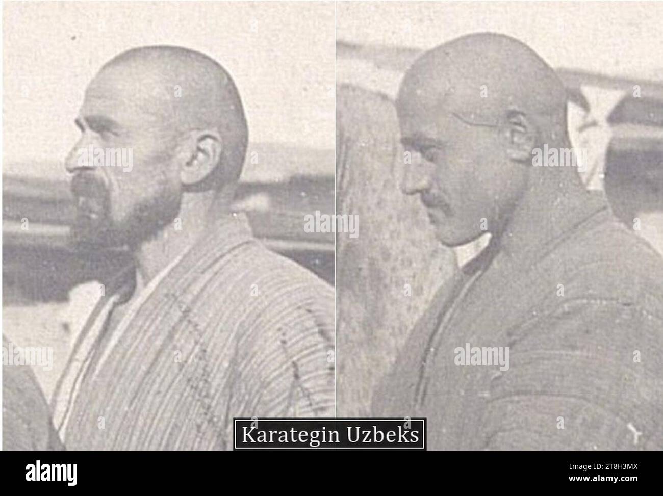 Uzbek Karategin phenotype of Balkh, Bactria Afghanistan Stock Photo - Alamy