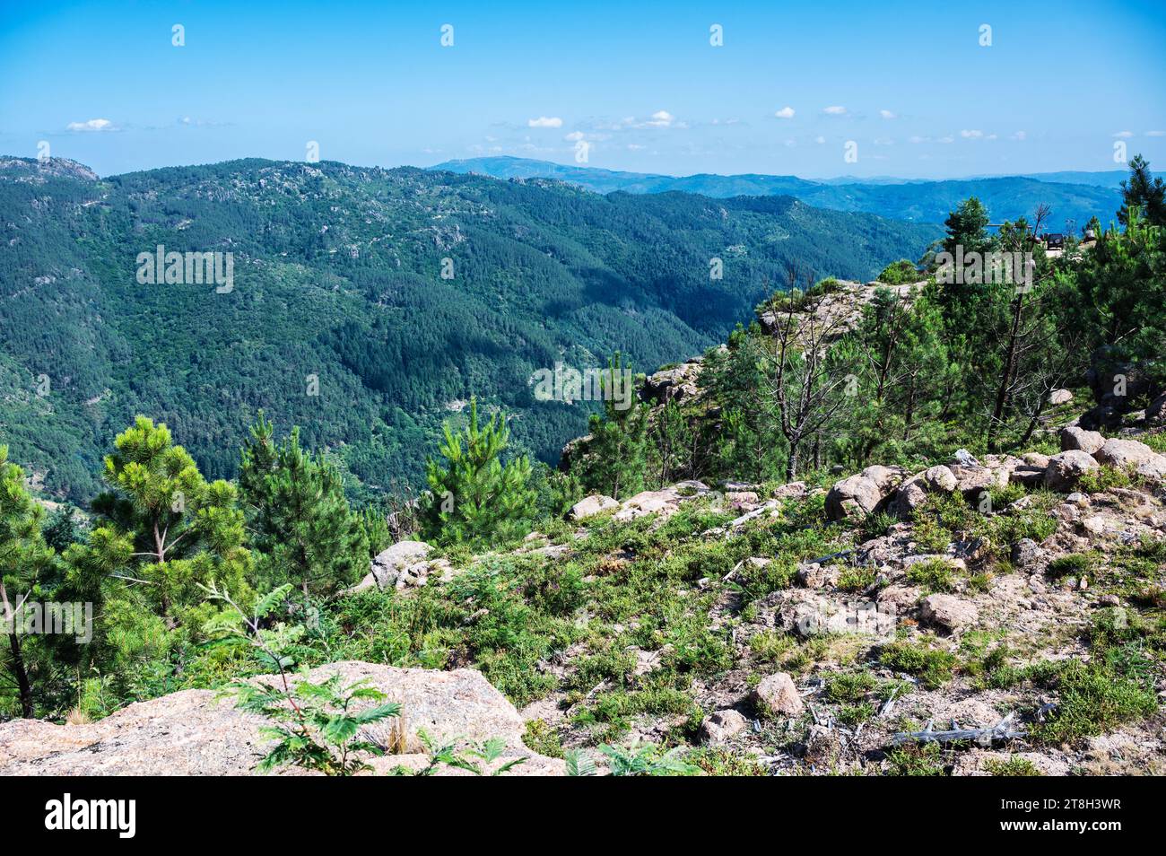 Trilho da silha dos ursos hi-res stock photography and images - Alamy