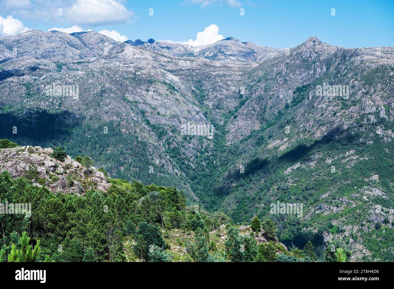 Trilho da silha dos ursos hi-res stock photography and images - Alamy