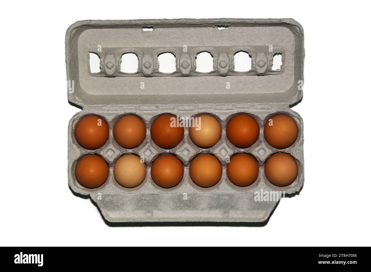 Twelve organic brown eggs on a carto egg tray Stock Photo - Alamy