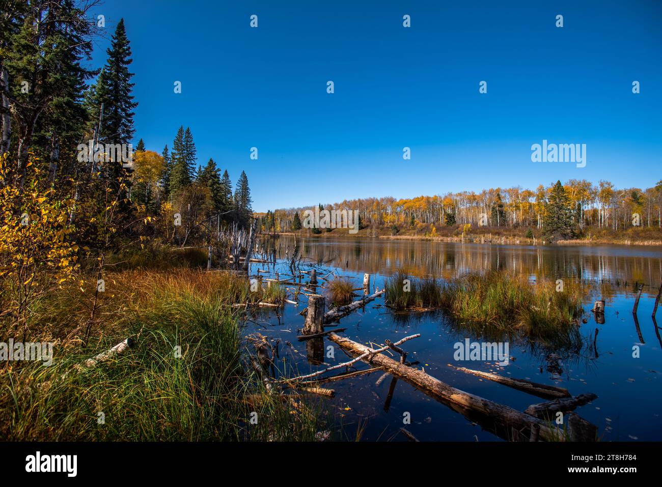 Autumn in Prince Albert National Park Stock Photo - Alamy