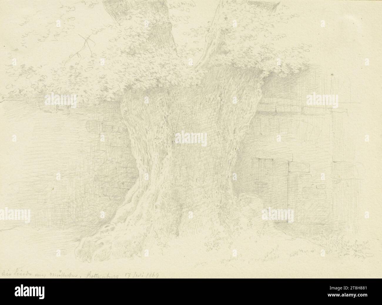 Linde theodor hi-res stock photography and images - Alamy