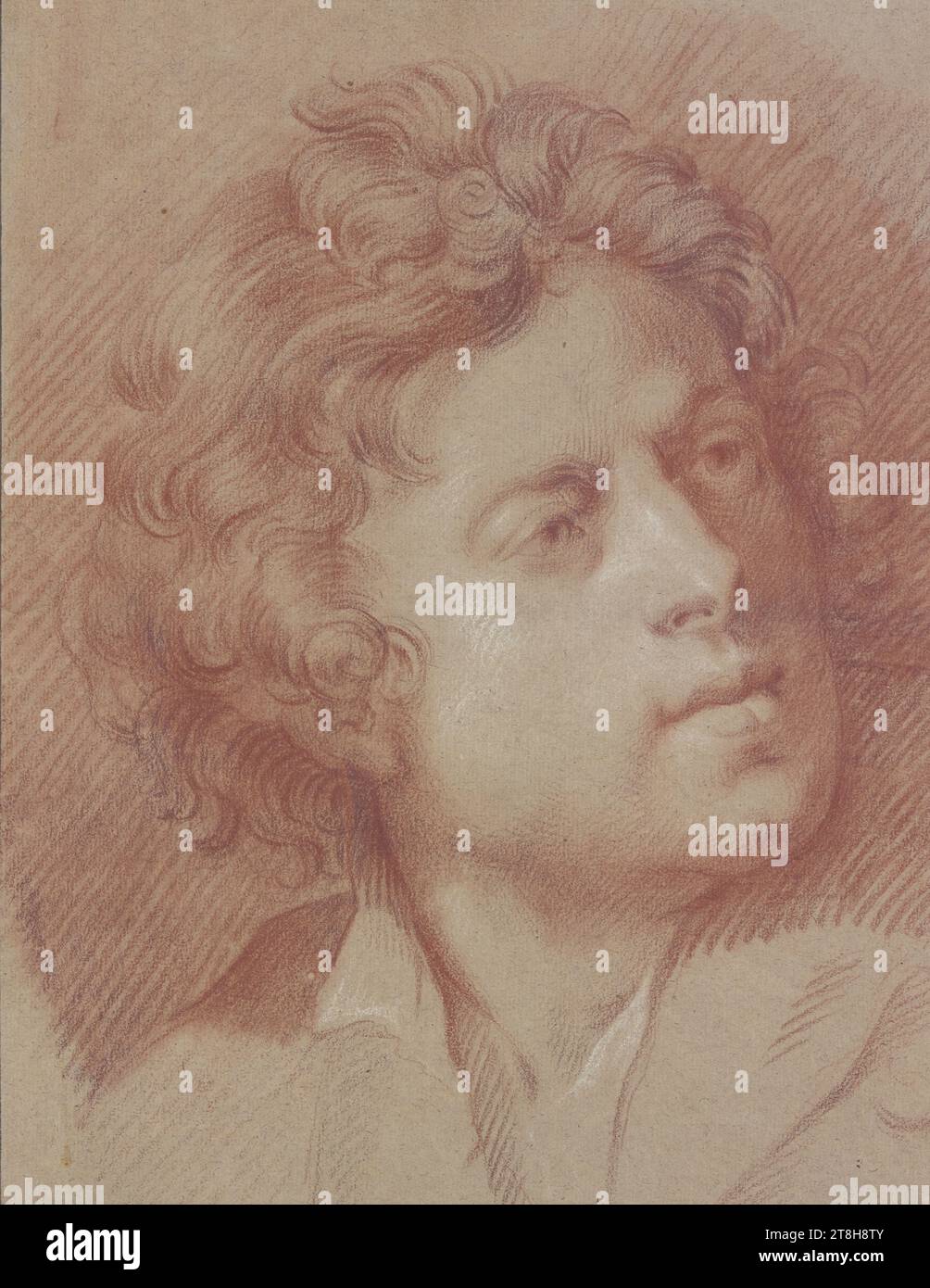 NICOLAS GUIBAL, head of a young man to the right, sheet, 390 x 290 mm ...
