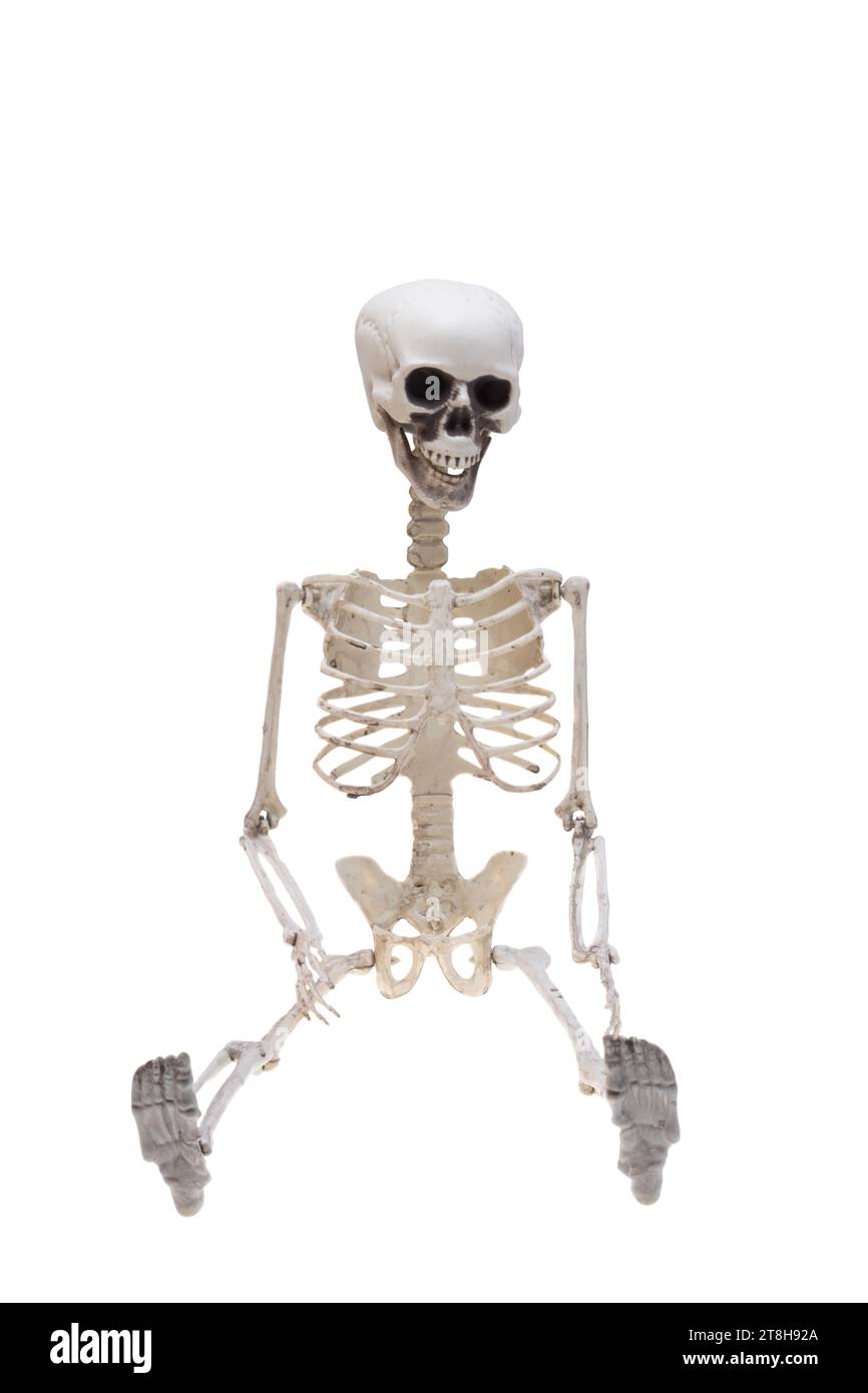 skeleton isolated on white background Stock Photo - Alamy
