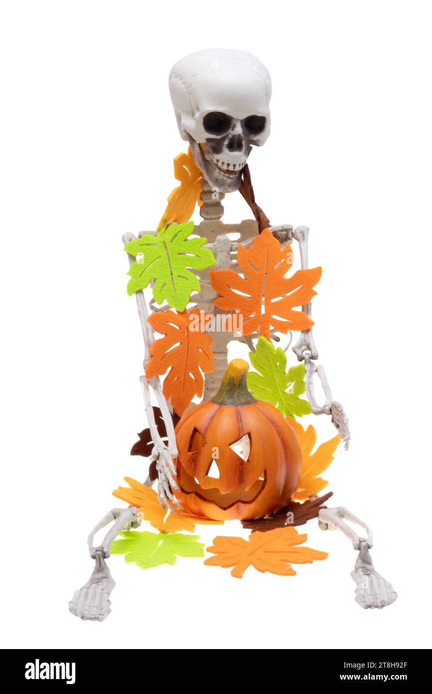 skeleton isolated on white background Stock Photo - Alamy