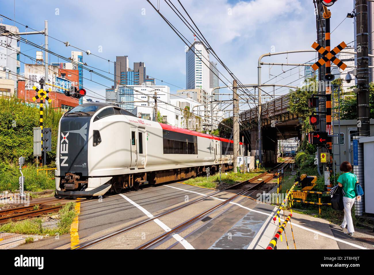 Narita Express N EX Zug der Japan Rail JR East an der Saikyo Line bei ...