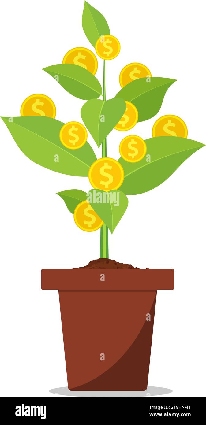 Money tree in flower pot icon on white background. Houseplant with ...