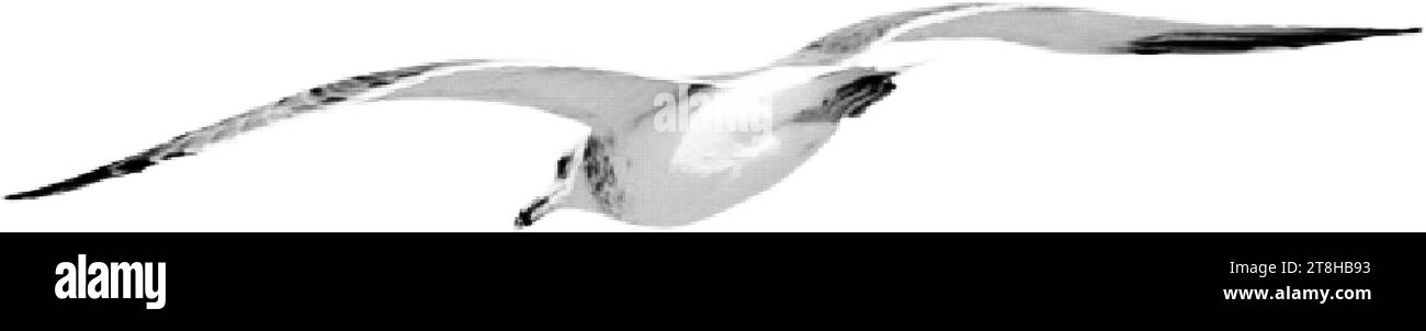 Halftone dotted seagull for trendy y2k retro collage. Vector textured ...