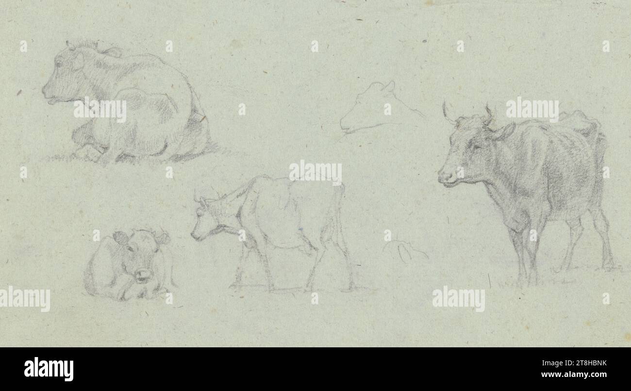 MAX JOSEPH WAGENBAUER, Four cattle, sheet, 149 x 199 mm, black chalk ...