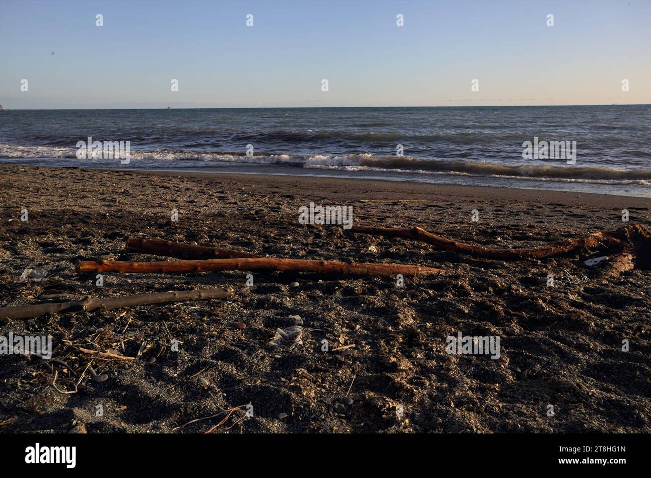 Old driftwood log on the beach hi-res stock photography and images - Alamy