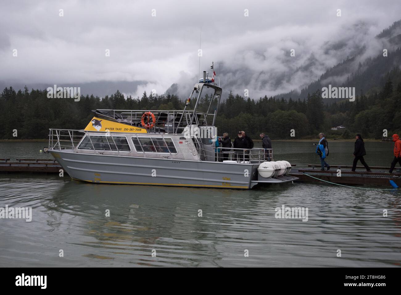 Grizzly watching at the banks of Orford River at British Columbia ...