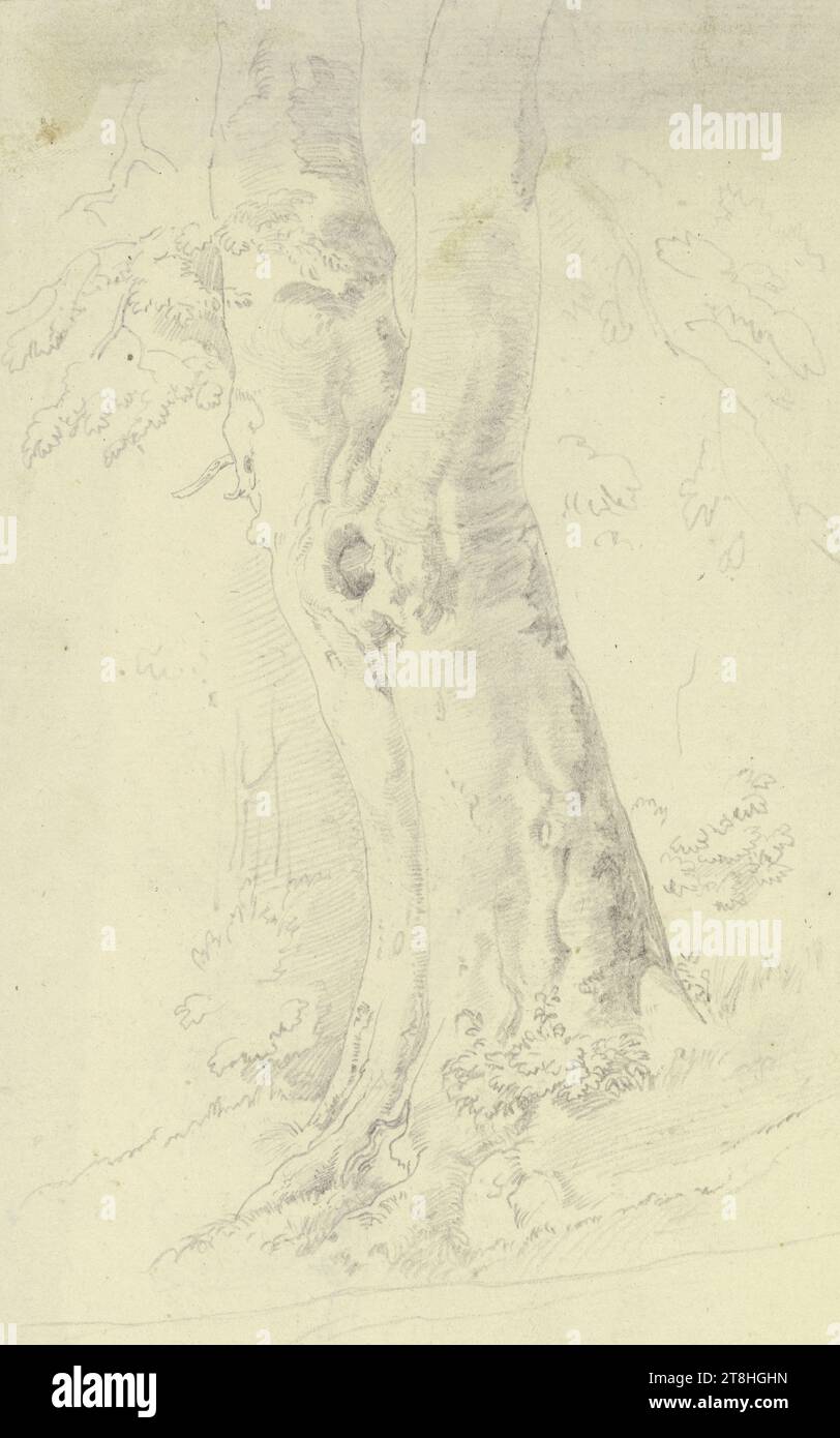 GERMAN, 19TH CENTURY, A tree, leaf, 180 x 108 mm, pencil on paper, A ...