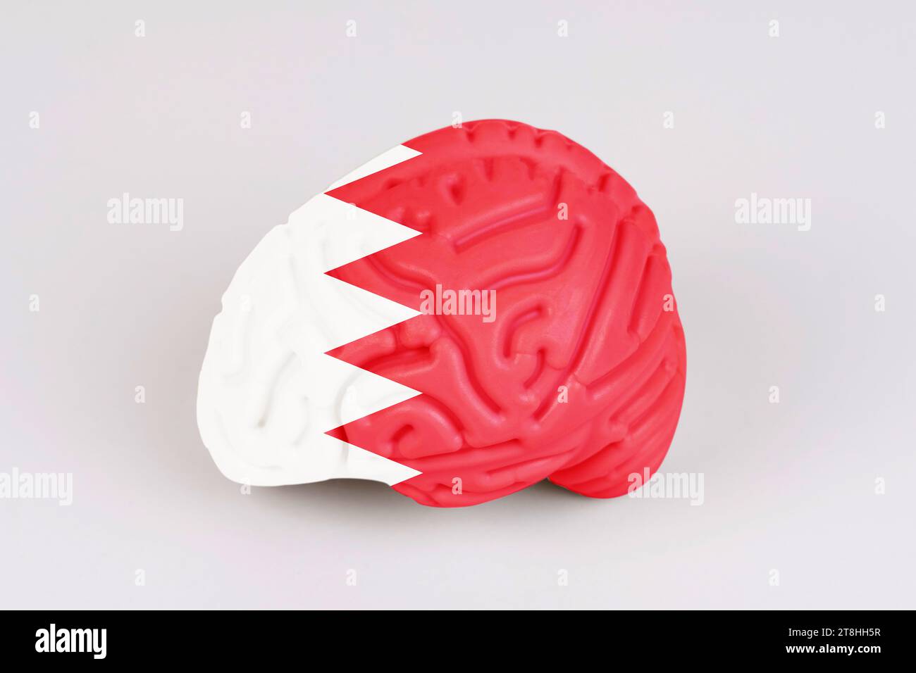 On a white background, a model of the brain with a picture of a flag ...