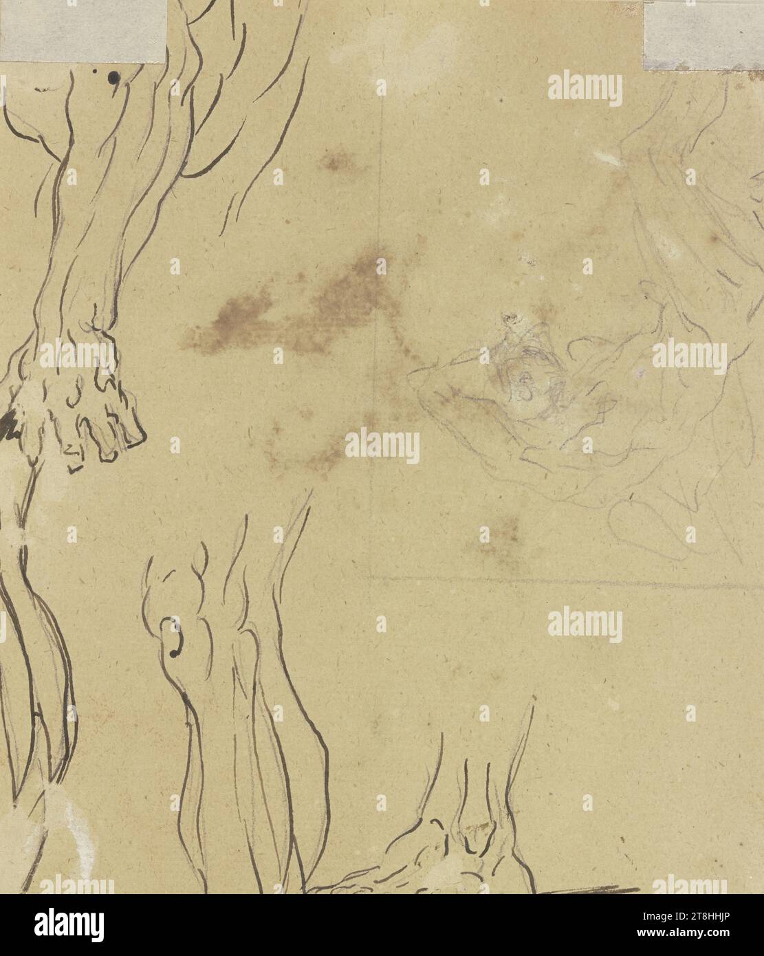 GASPARE DIZIANI, An arm, a knee, a foot and a lying figure, sheet, min ...