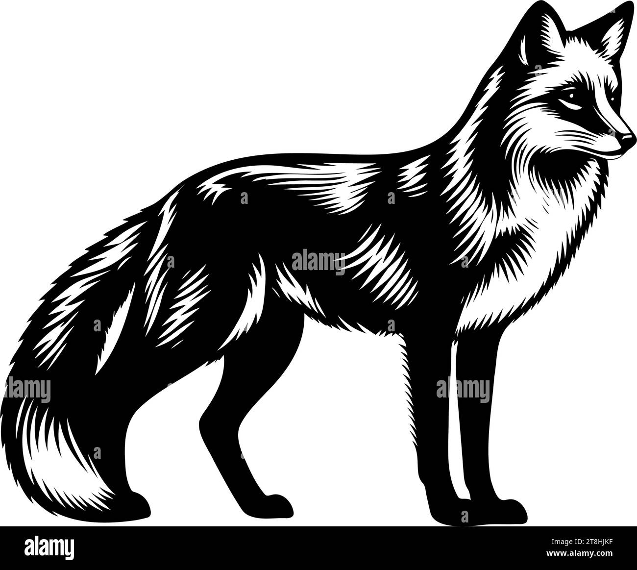 Fox symbol Black and White Stock Photos & Images - Alamy