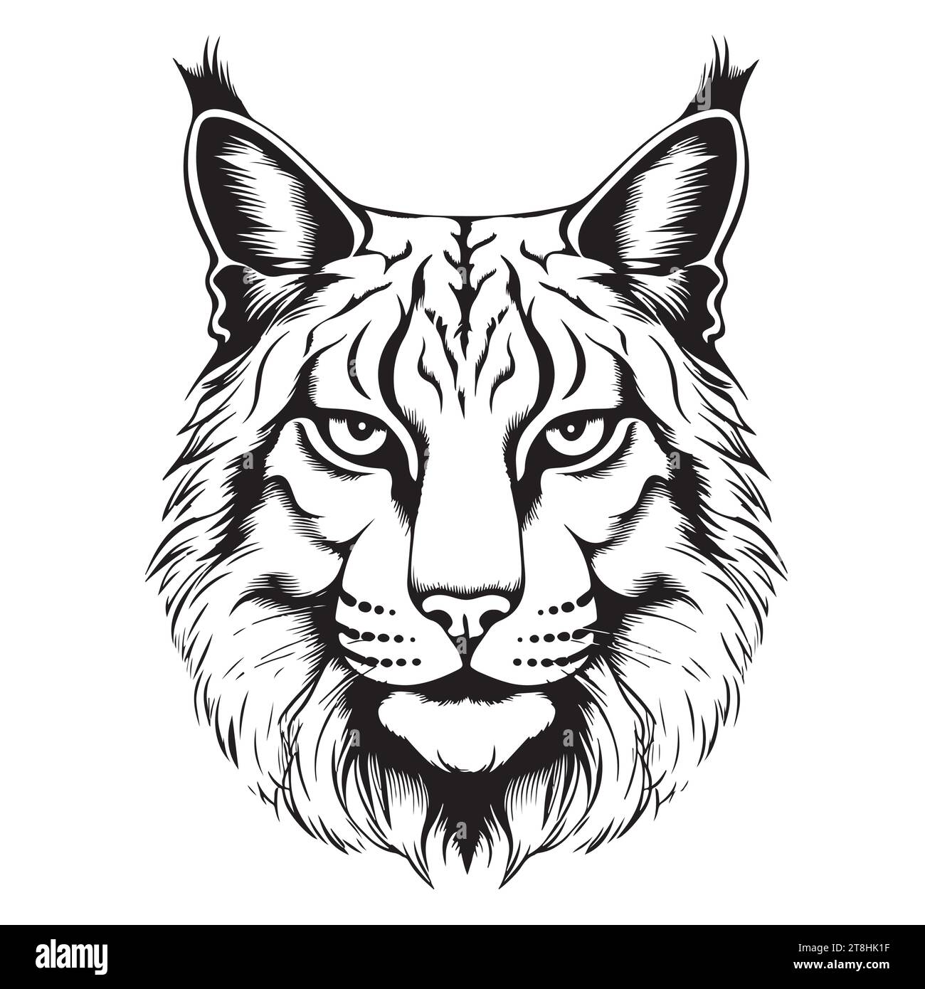 Lynx. Sketch, drawn, graphic portrait of a lynx head on a white ...