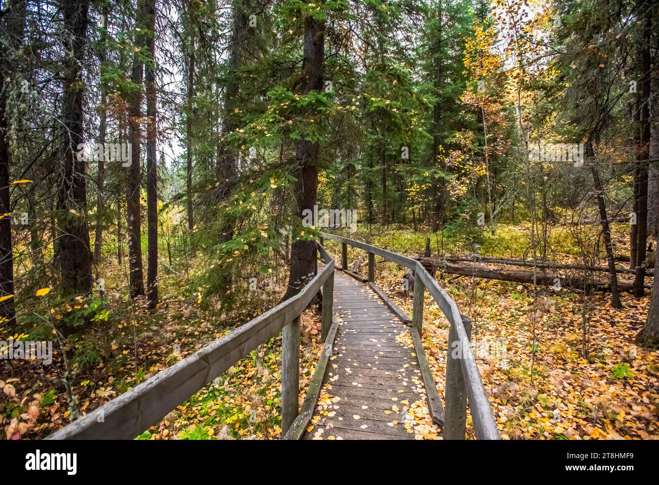 Autumn in Prince Albert National Park Stock Photo - Alamy